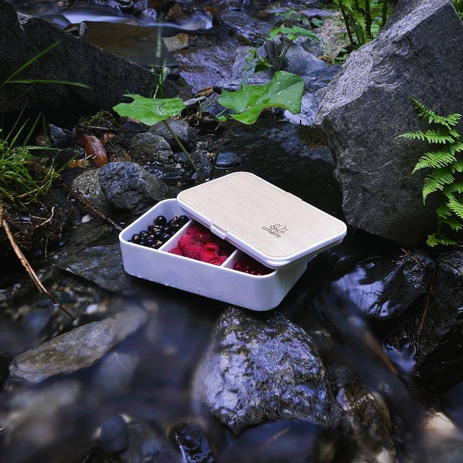 Single Layer Bento Boxes – Umami Bentos