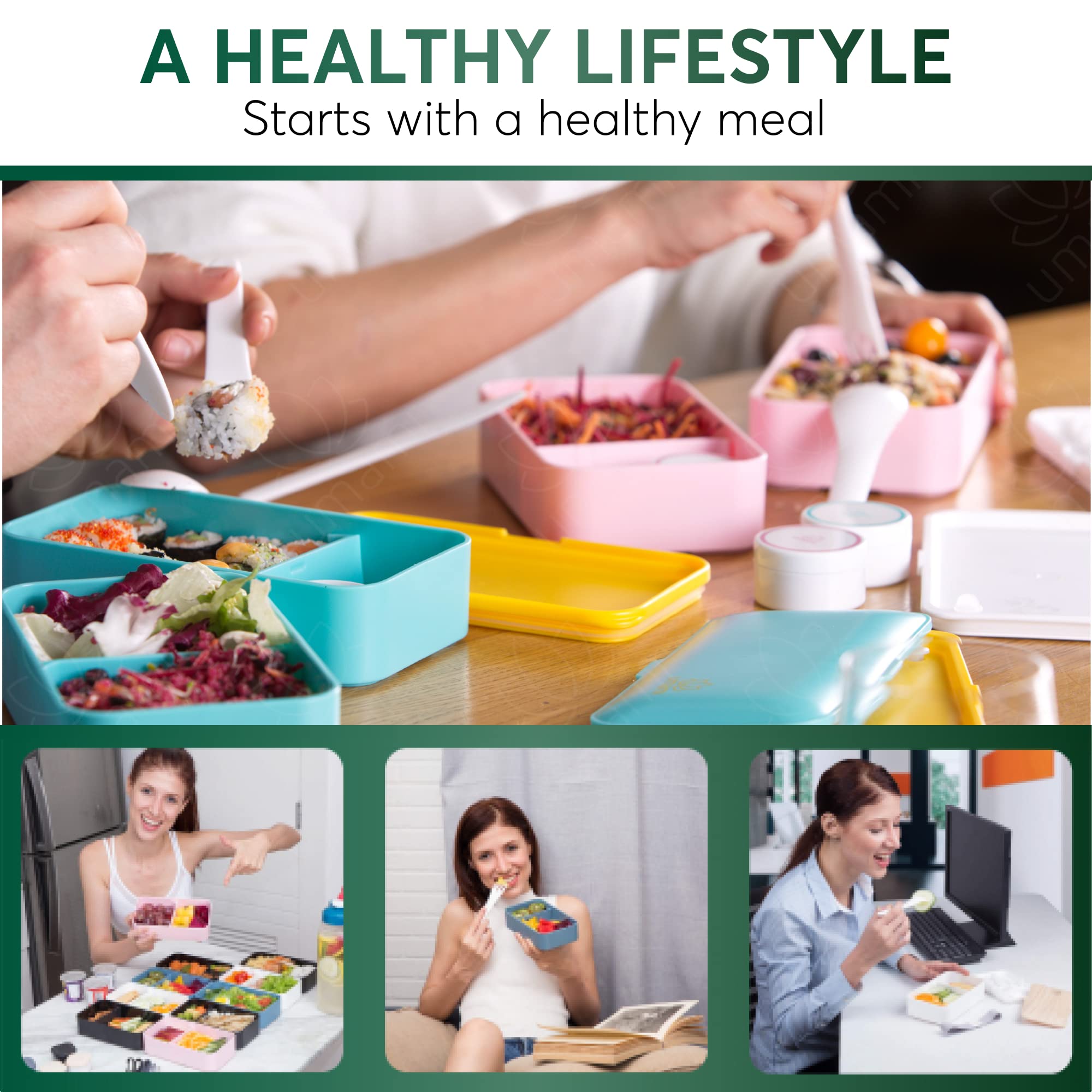 Original Bento Box Classic Fresh Turquoise – Umami Bentos