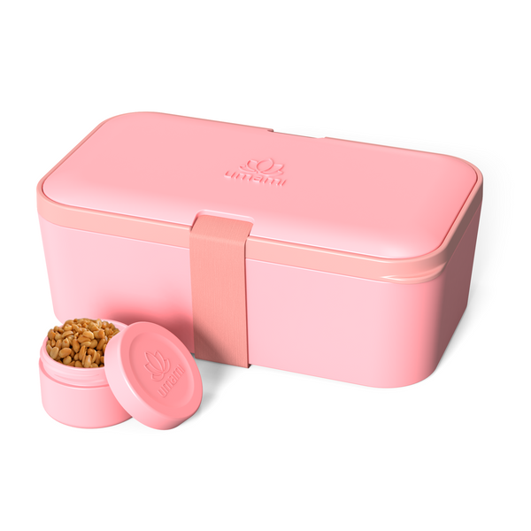 Single Layer Bento Box Coral Pink (30 oz) – Umami Bentos