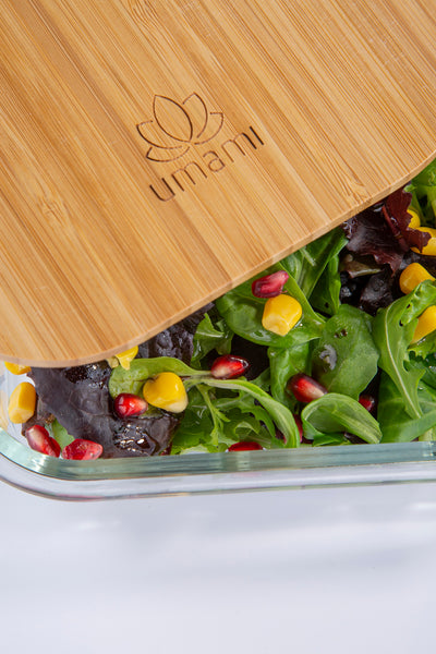 Lunch Box Glass & Bamboo (L) – Umami Bentos